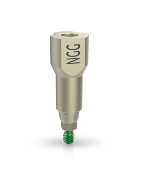 Scan Bodies – Shopmeetdandy